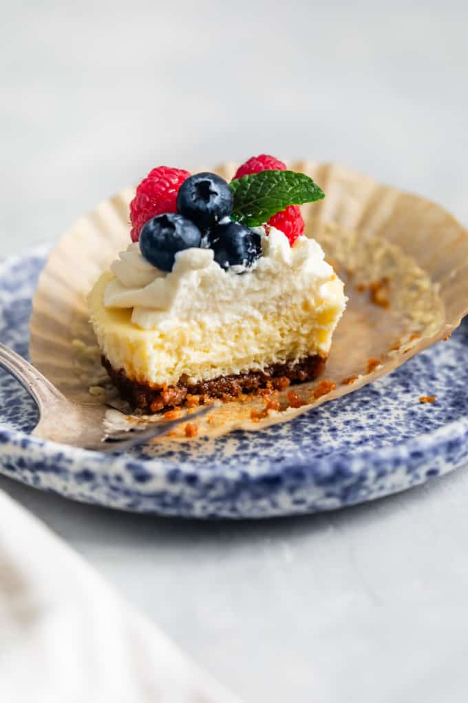 Gluten-Free Mini Cheesecakes - Snixy Kitchen